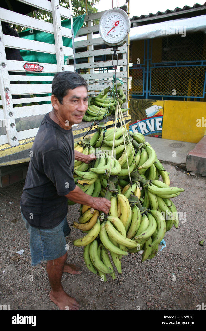 banana's in Colombia Stock Photo - Alamy