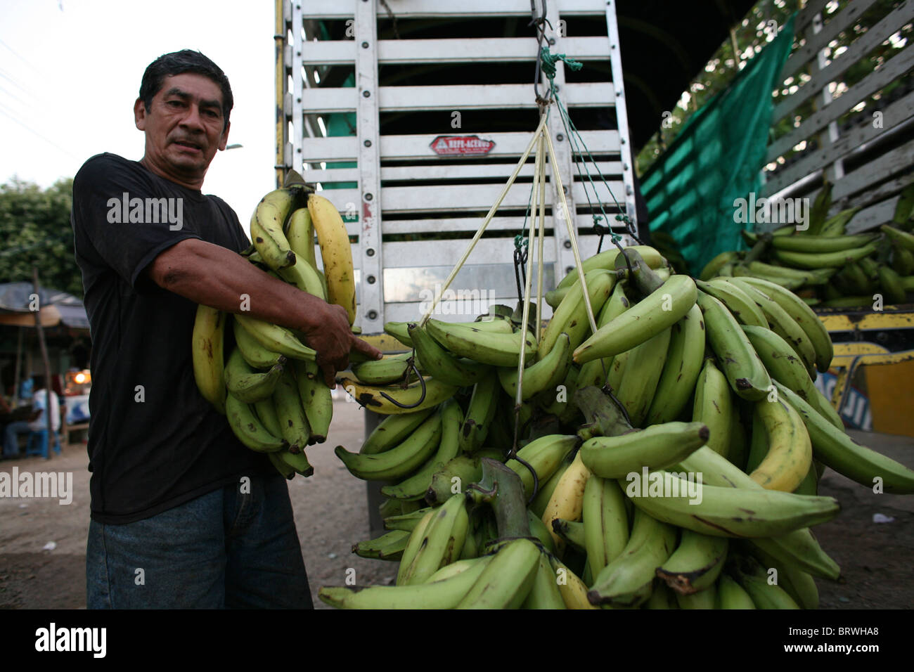 banana's in Colombia Stock Photo - Alamy