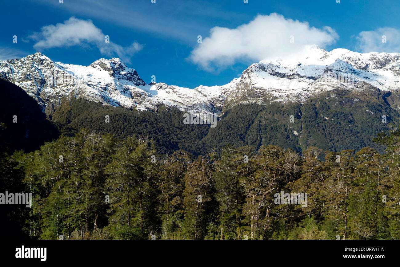 Snow capped peaks with dense forest Stock Photo - Alamy