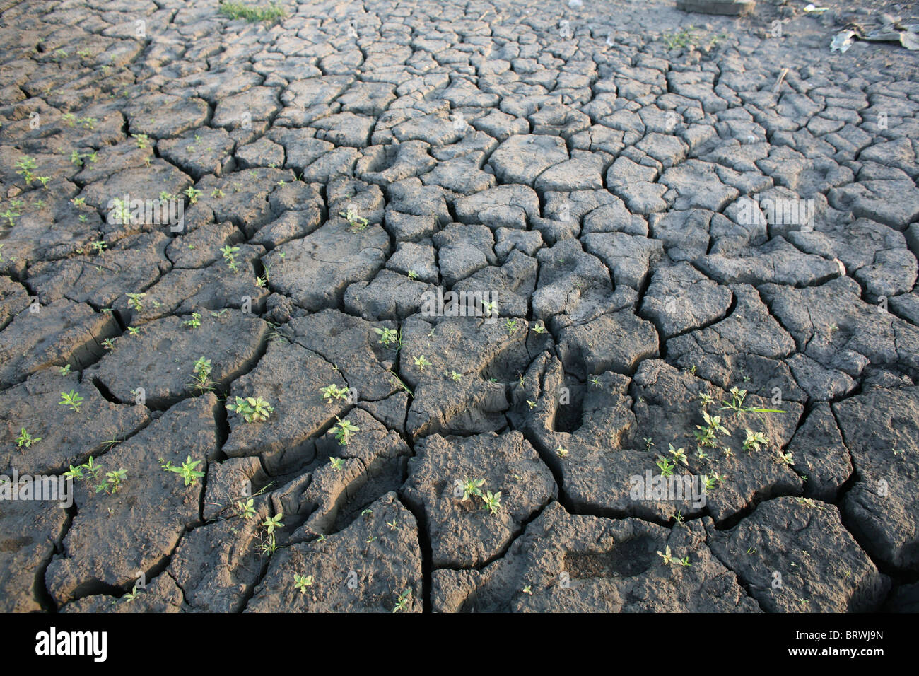drought in colombia Stock Photo - Alamy