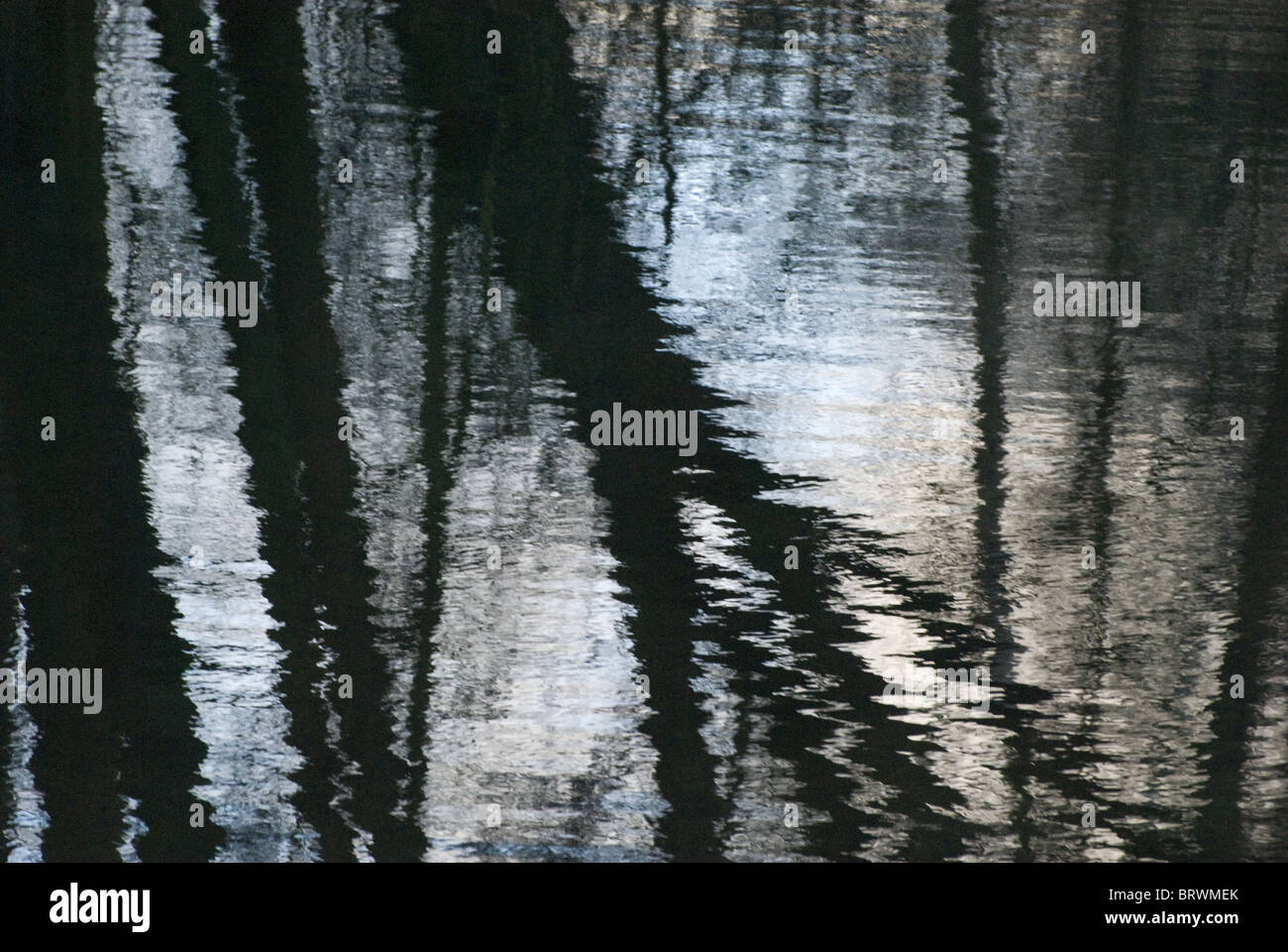 Trees Reflection on Water Stock Photo - Alamy