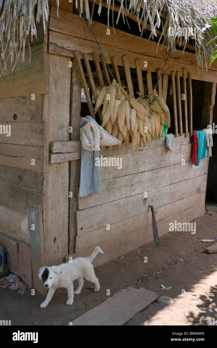 BOLIVIA ECOTOPS projects in Alto Beni. Details of a farmhouse in ...