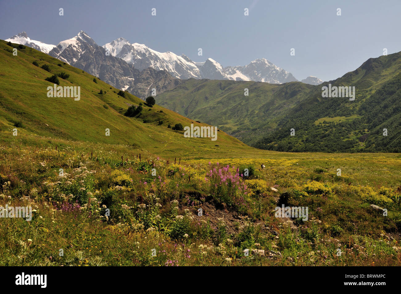 Caucasus borders hi-res stock photography and images - Alamy