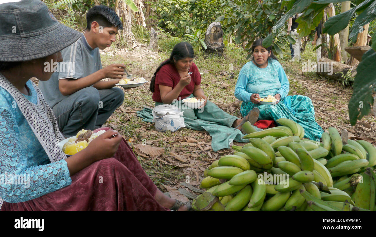 BOLIVIA ECOTOPS projects in Alto Beni. Farmers stopping to eat lunch ...