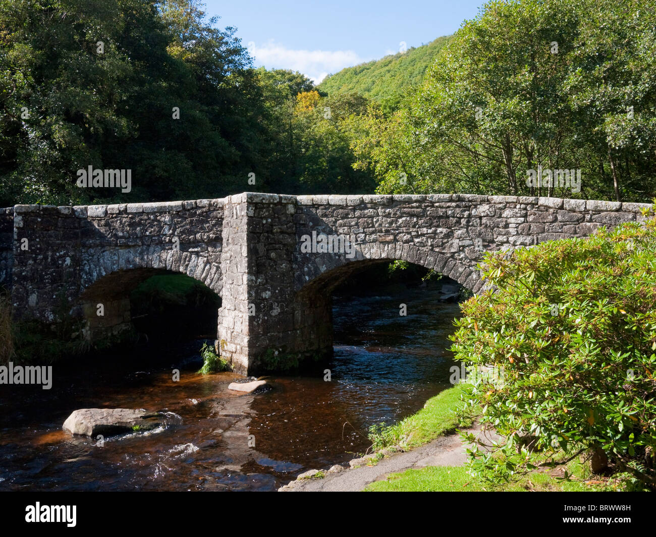 Fingle bridge woods hi-res stock photography and images - Alamy