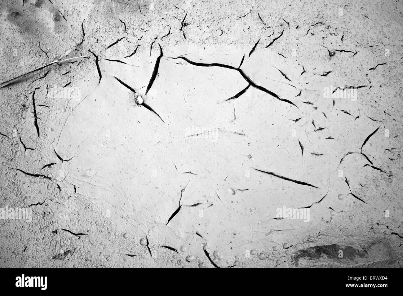 Pools of rain hi-res stock photography and images - Alamy