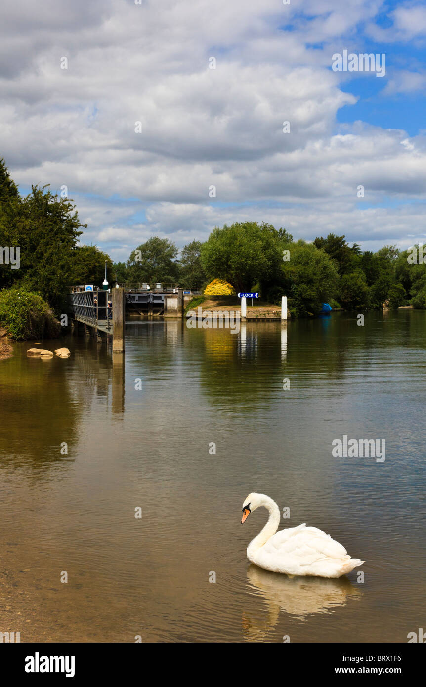 Wolvercote ward hi-res stock photography and images - Alamy