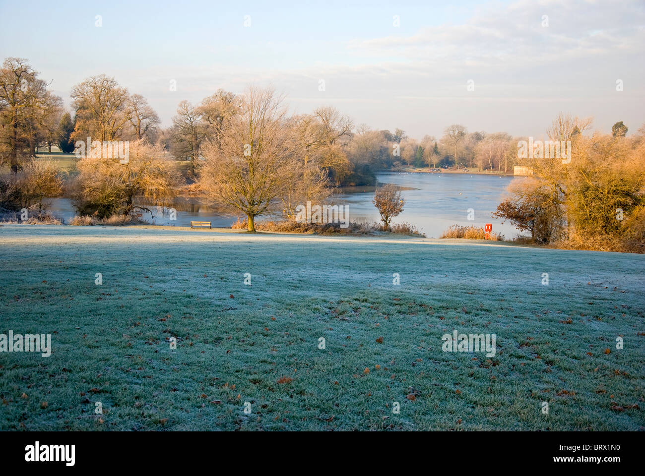 Trees in winter shining with golden early morning sunlight hi-res stock ...