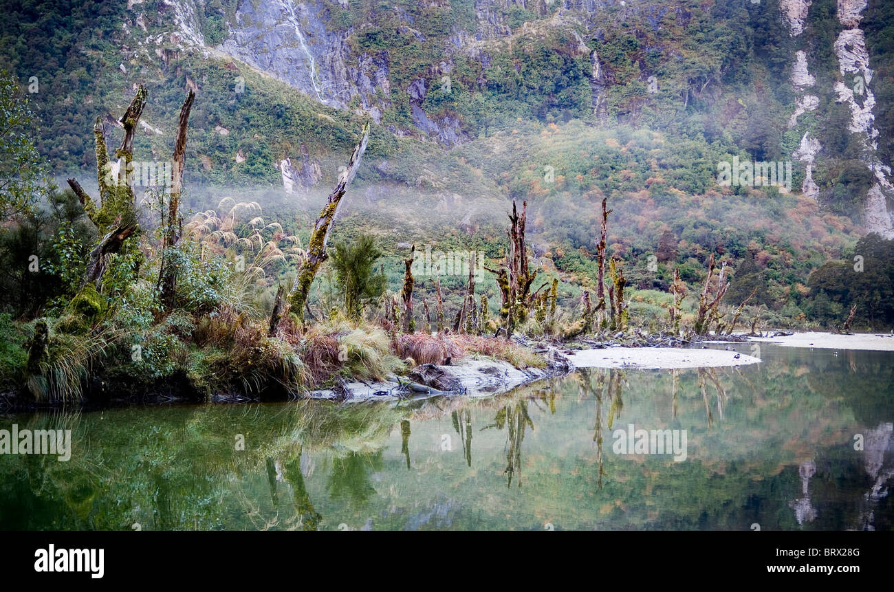 Track through the rain forest hi-res stock photography and images - Alamy