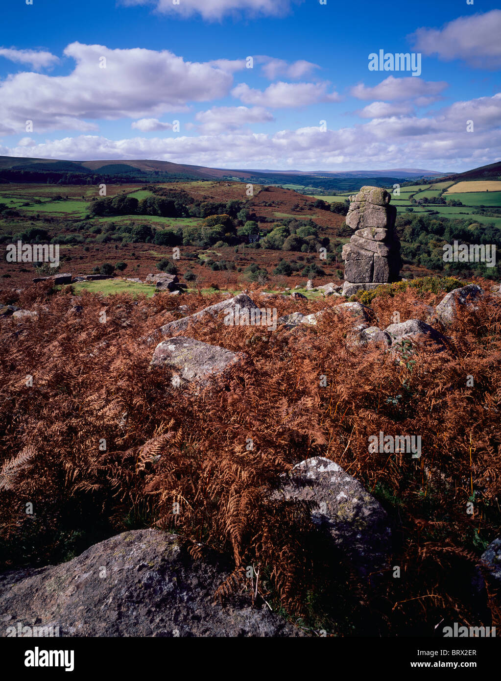 Bowermans Nose granite rock stack at Hayne Down in the Dartmoor ...