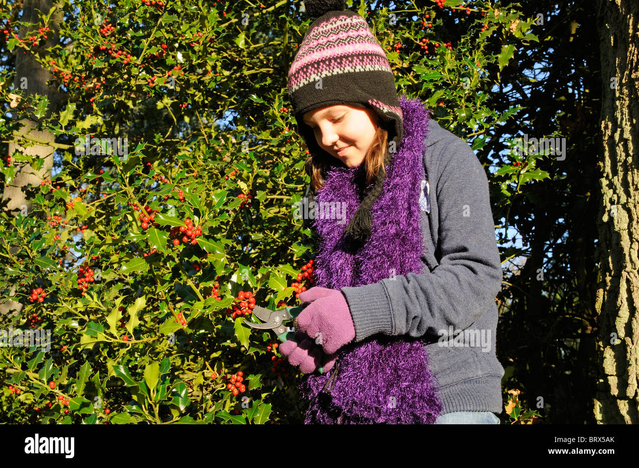 Children cutting christmas tree hi-res stock photography and images - Alamy