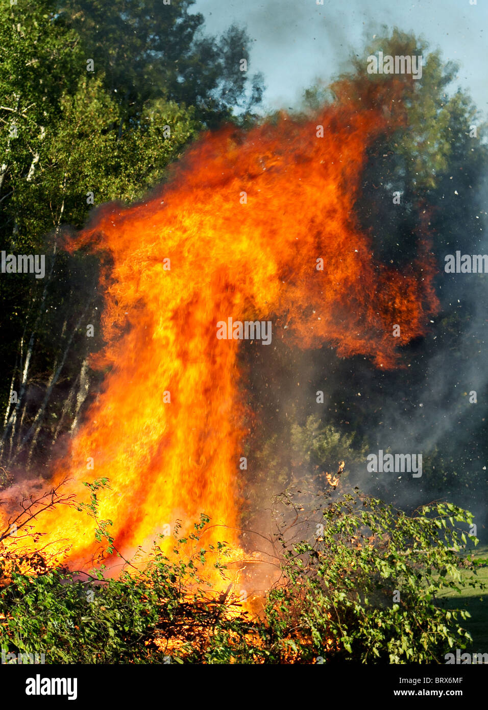 large brush pile with a huge roaring fire engulfing the trees Stock ...