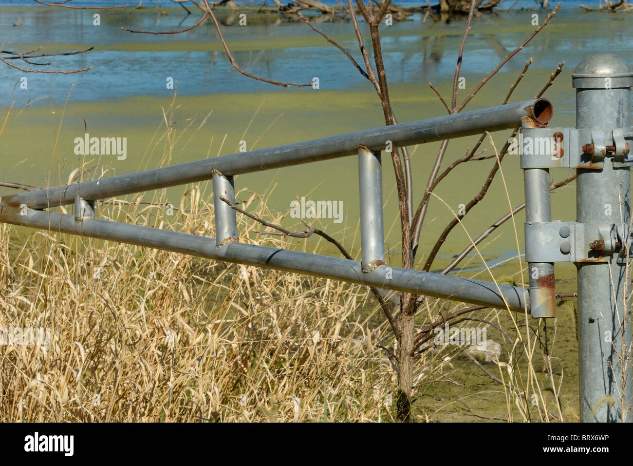 Unusual shaped triangular metal fence gate on a trail through a nature ...