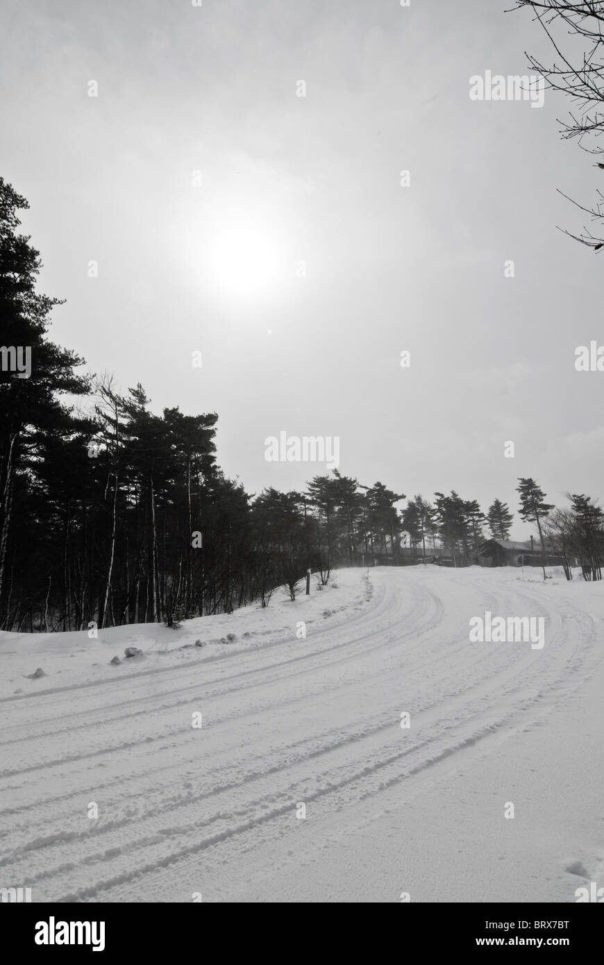 Road covered in snow, Fukushima Prefecture, Honshu, Japan Stock Photo ...