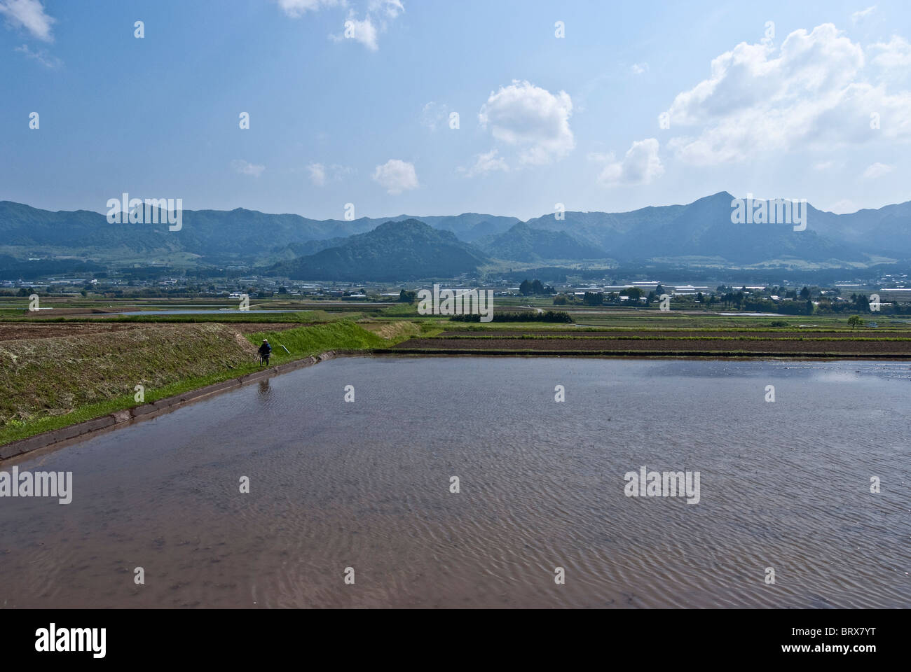 Image of paddy field hi-res stock photography and images - Alamy