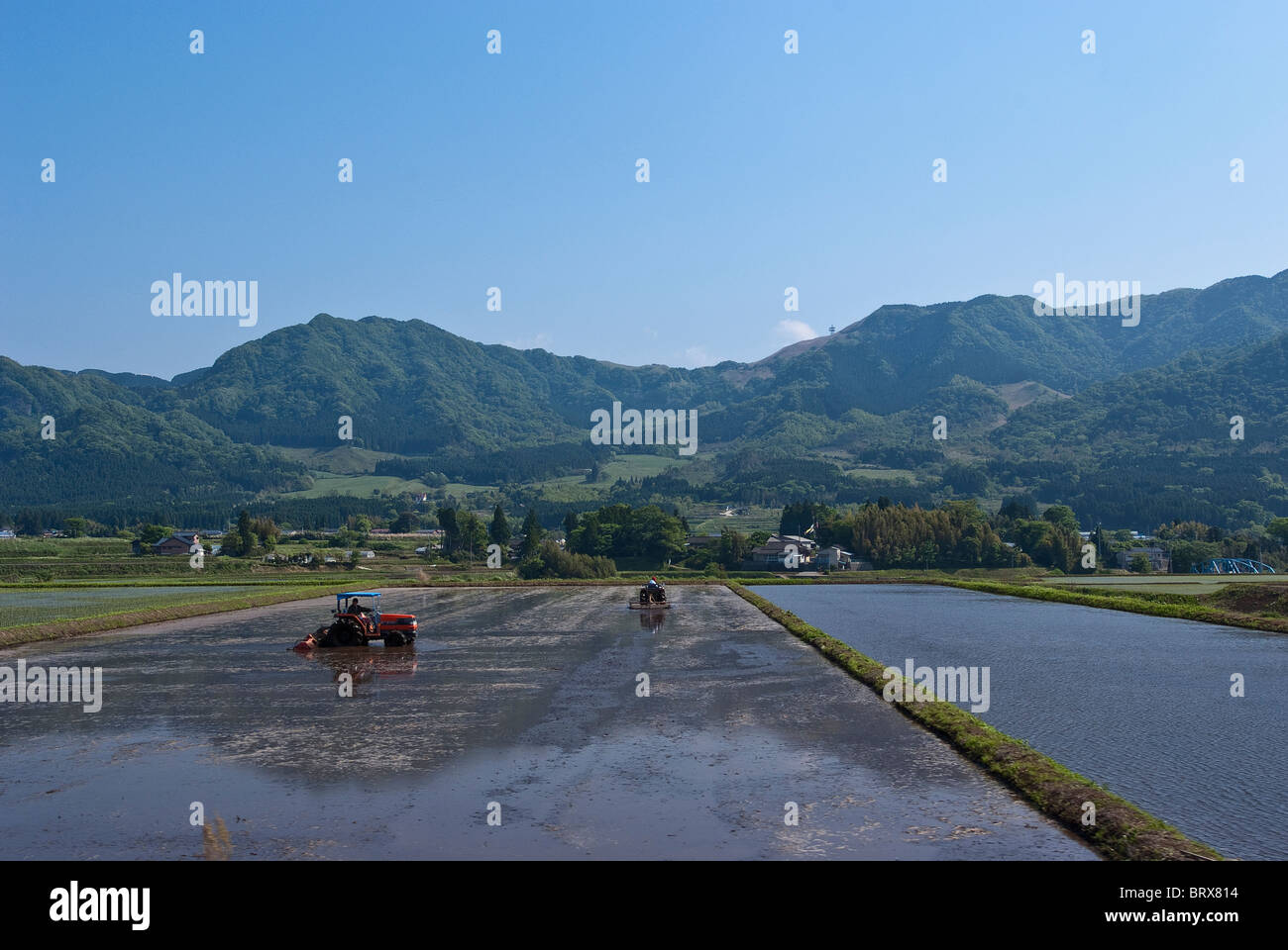 Tractors Working in Rice Field Stock Photo - Alamy