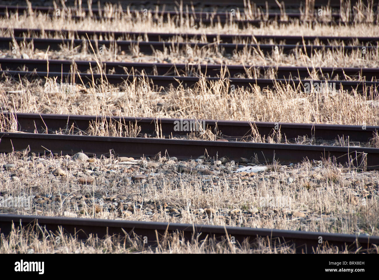 Grass growing on railroad tracks hi-res stock photography and images ...