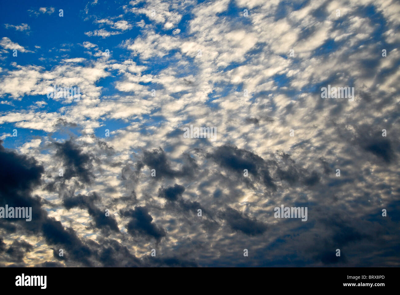 High Clouds in Evening Sky Stock Photo - Alamy