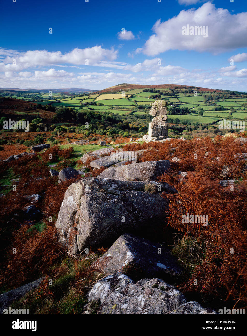 Bowermans Nose granite rock stack at Hayne Down in the Dartmoor ...