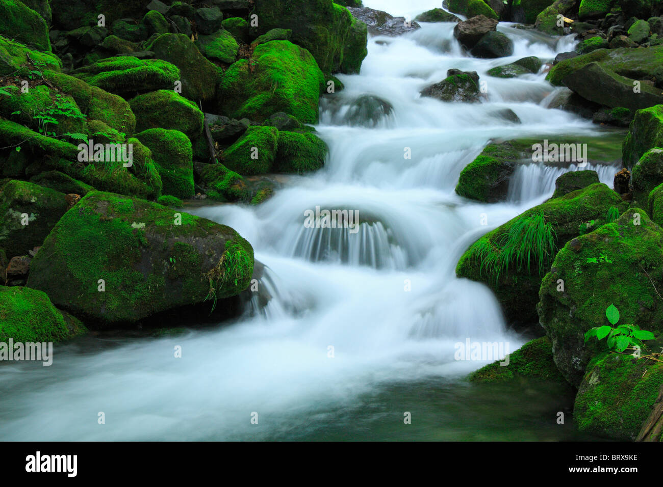 Streamflow hi-res stock photography and images - Alamy