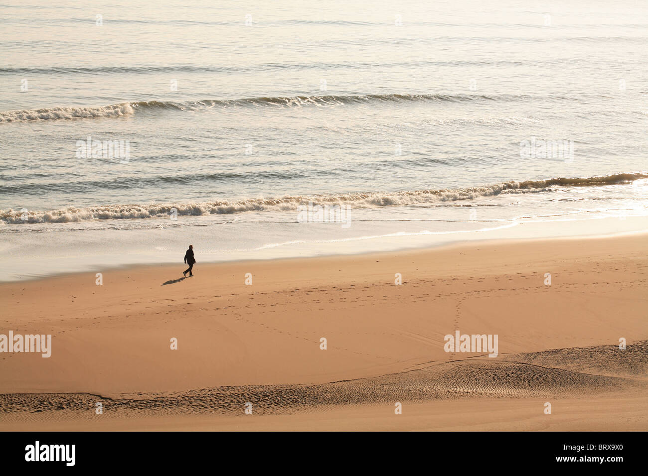 Walking alone on the beach Montrose Angus Scotland Stock Photo - Alamy