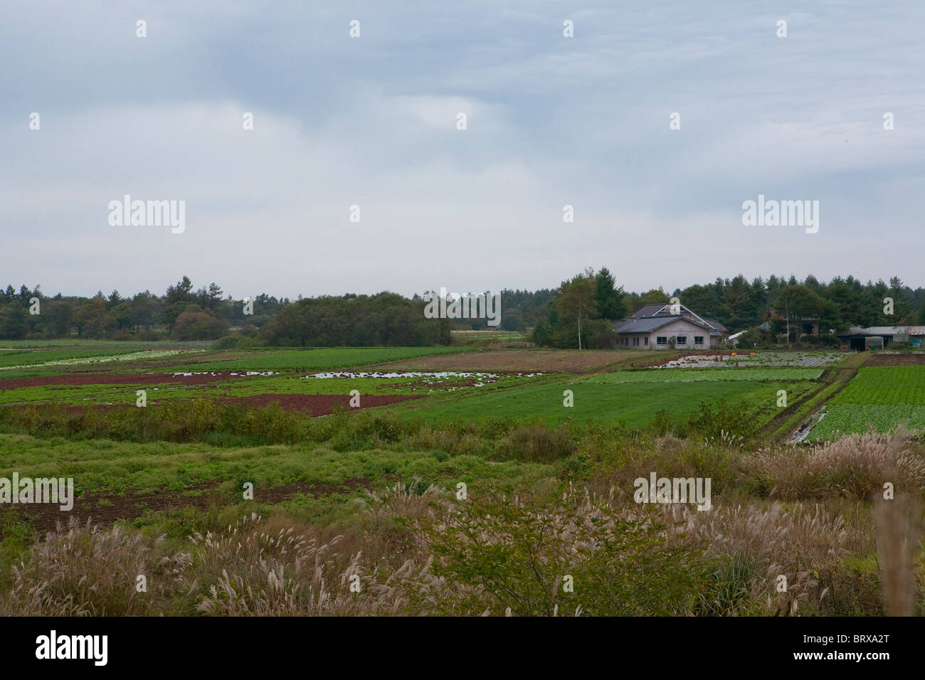 Farmhouse and fields hi-res stock photography and images - Alamy