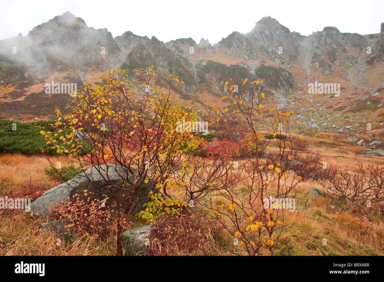 Japan image mountain misty hi-res stock photography and images - Alamy