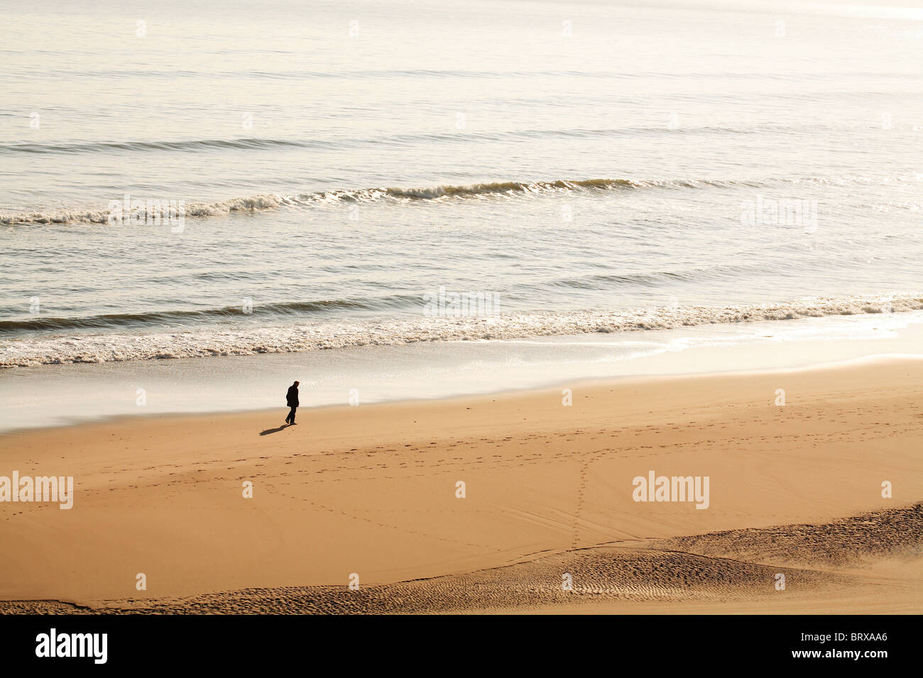 Walking alone on the beach Montrose Angus Scotland Stock Photo - Alamy