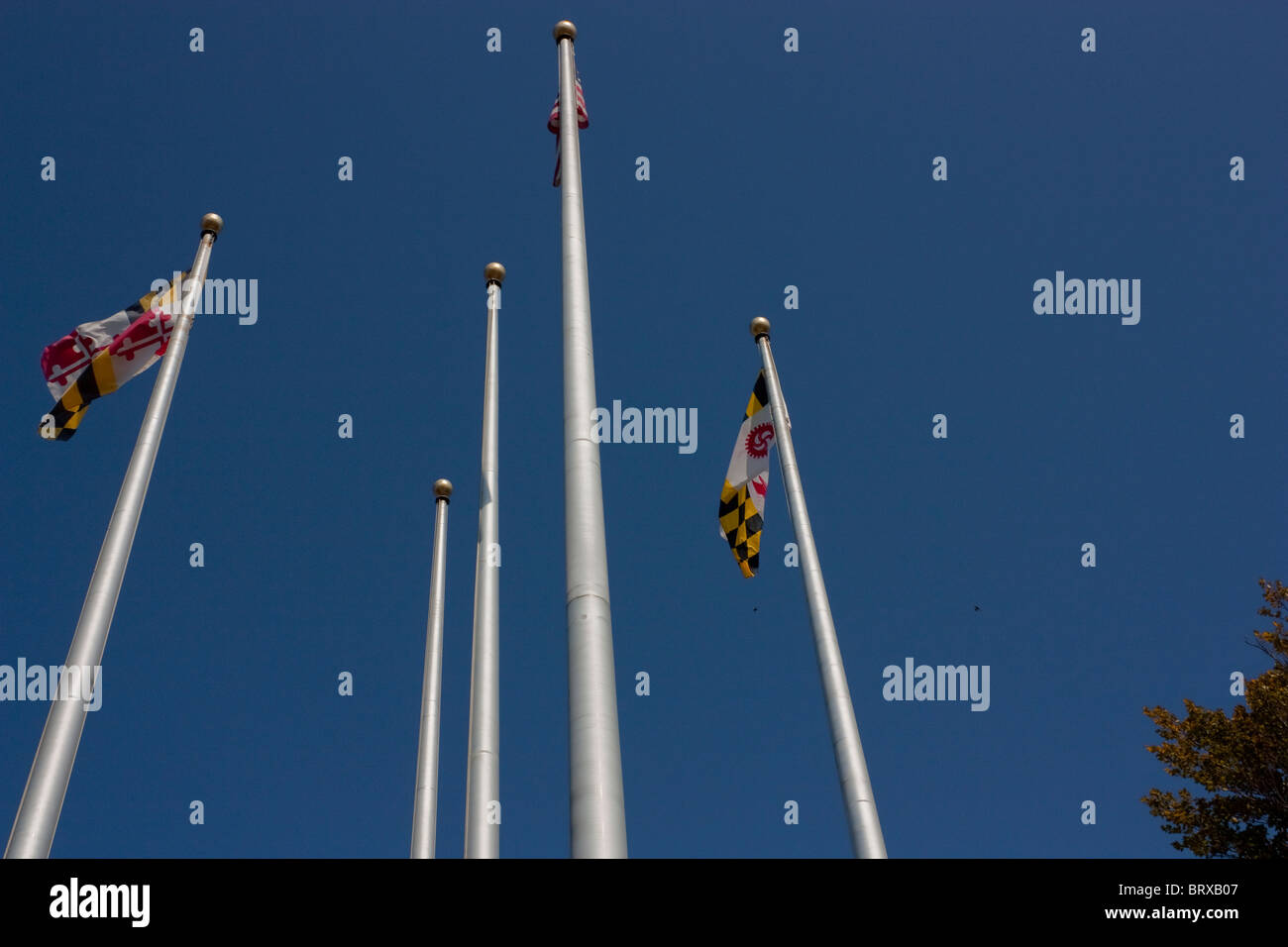 Tall poles hi-res stock photography and images - Alamy