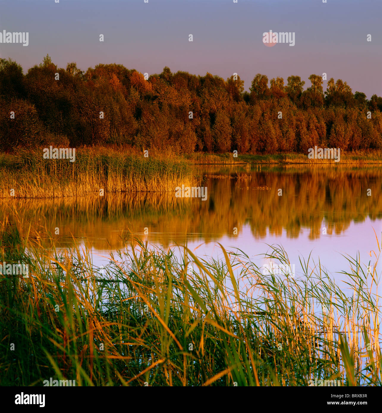 Full moon over water fall hi-res stock photography and images - Alamy