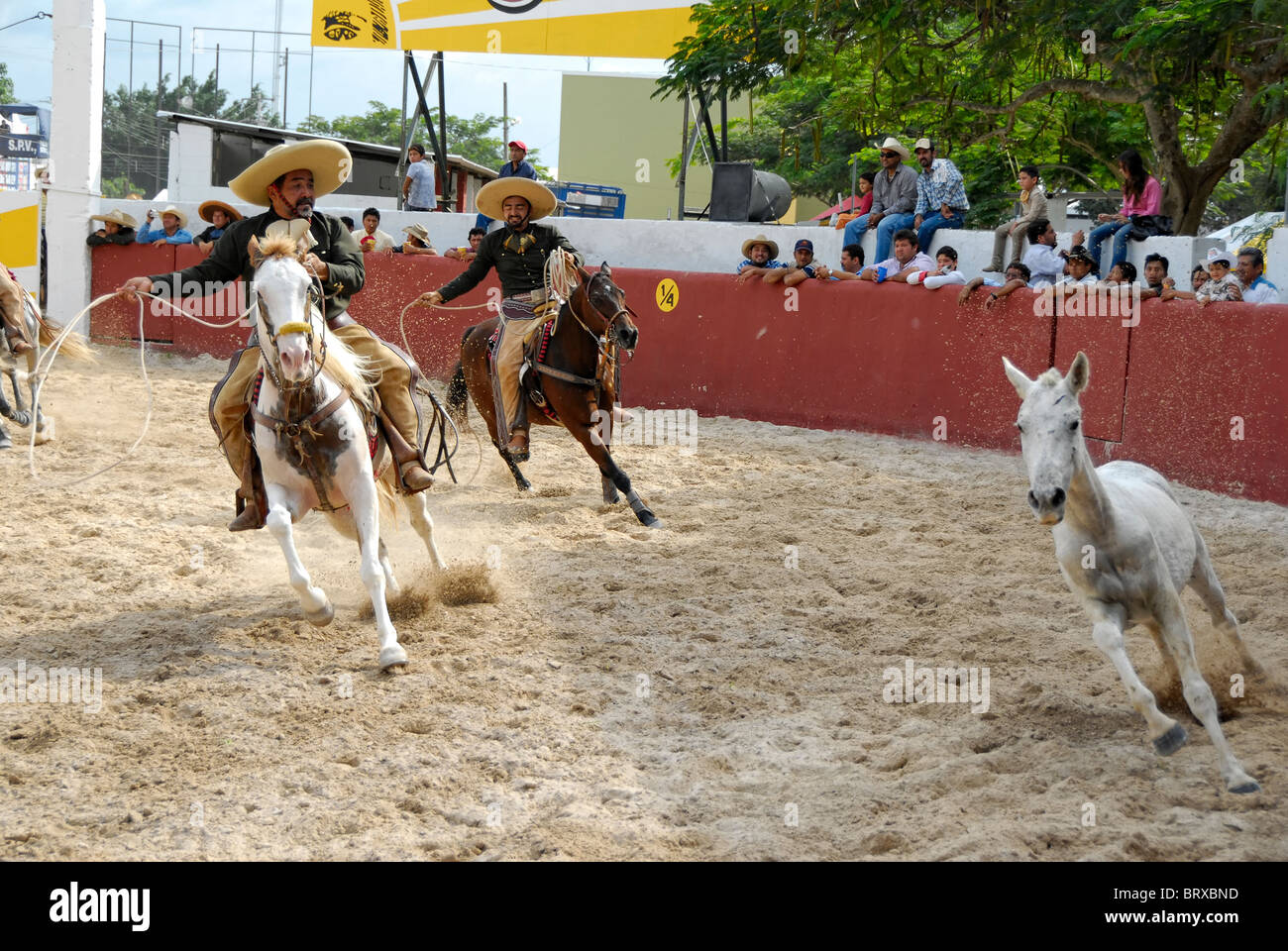 Charro traditional horseman mexico hi-res stock photography and images ...