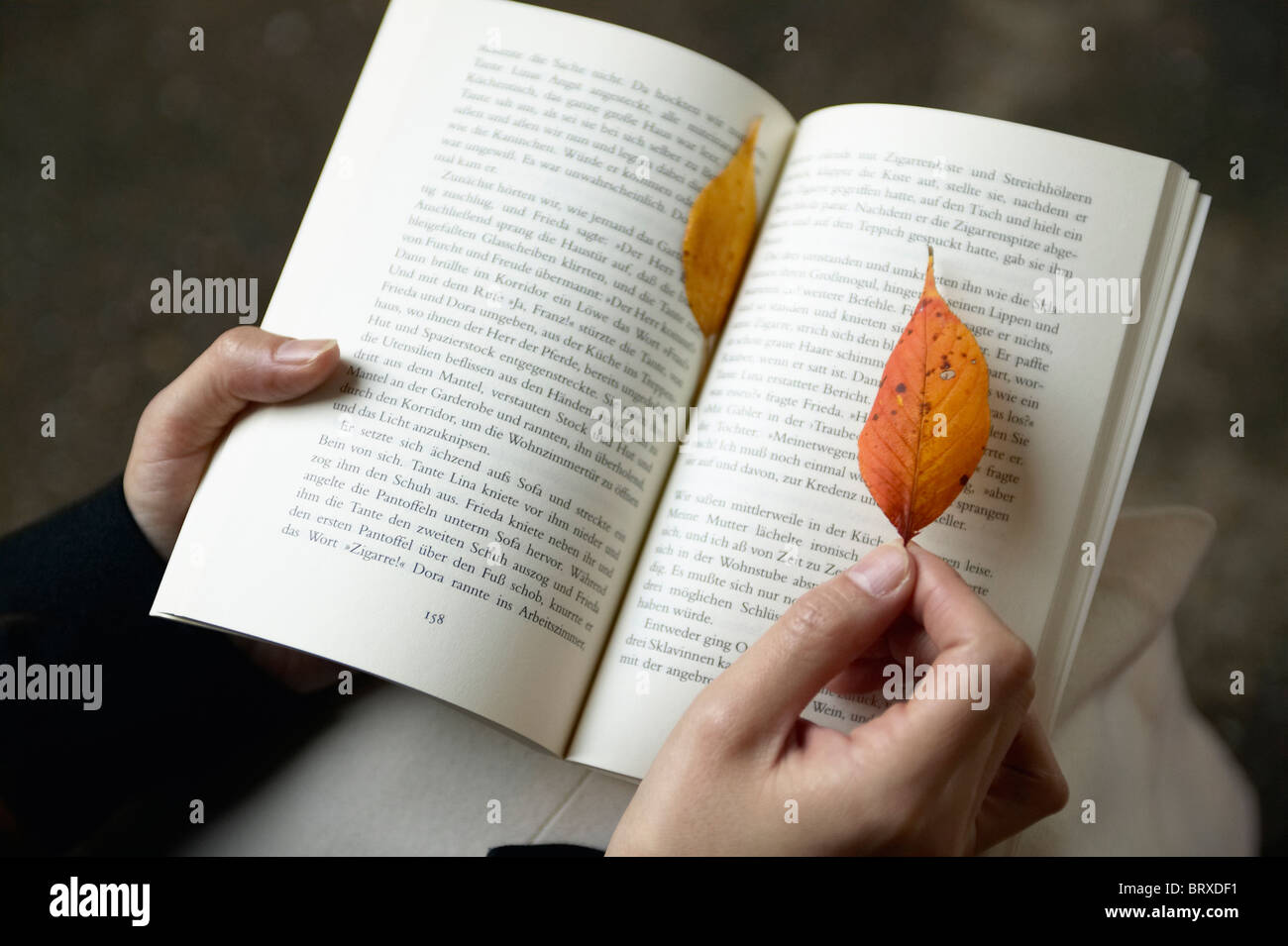 Hand Holding Leaf on Book Stock Photo - Alamy