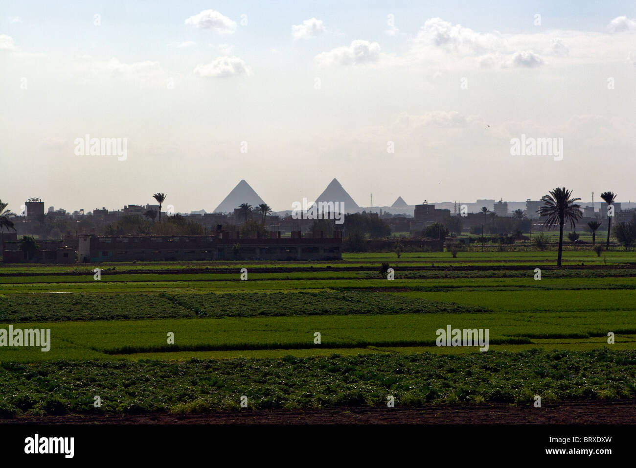Outline of the Great Pyramids on the horizon, Cairo, Egypt Stock Photo ...