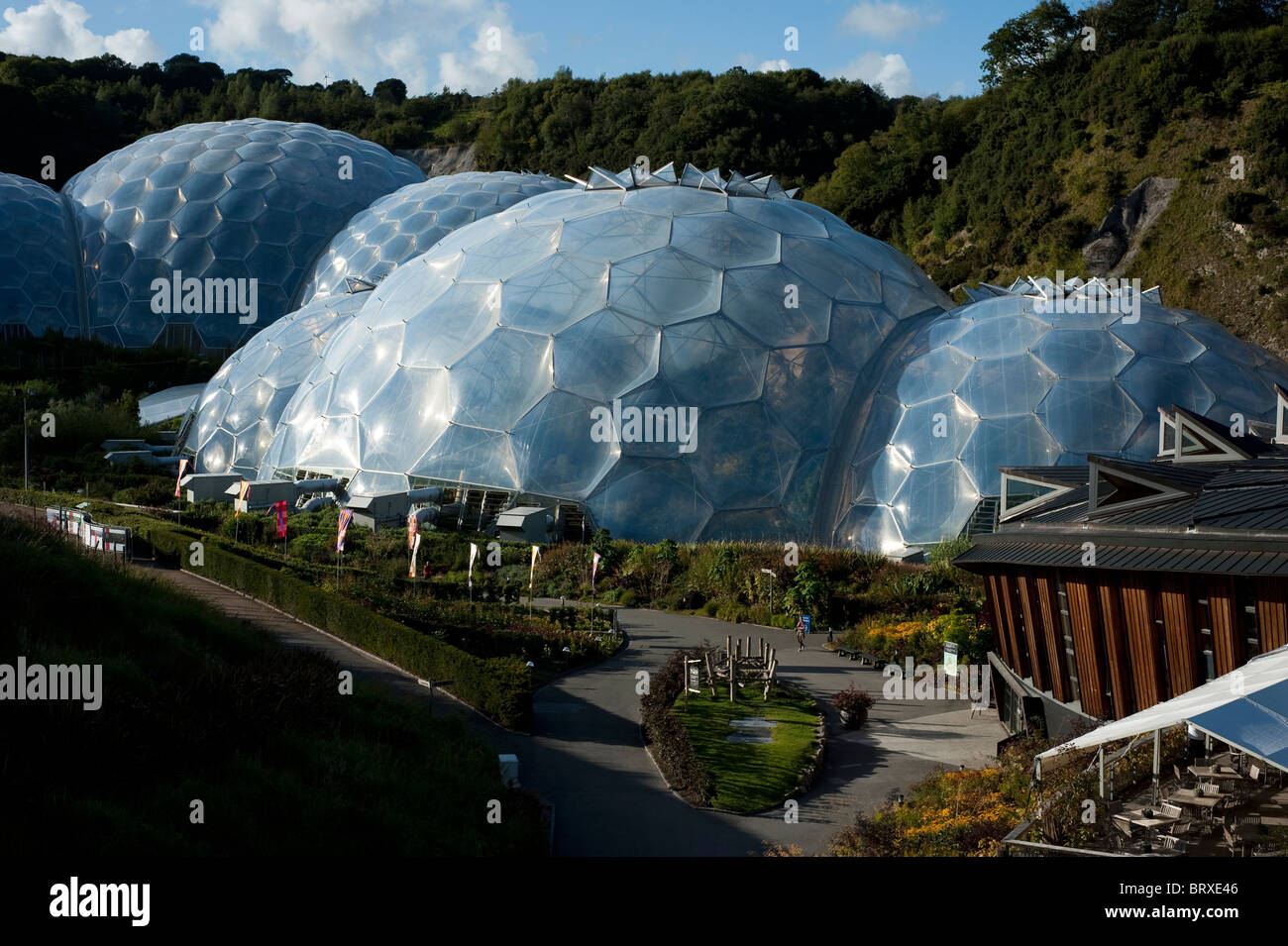 Temperate rainforest biome hi-res stock photography and images - Alamy