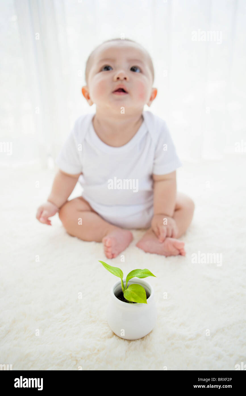 Baby Boy With Potted Sprout Stock Photo - Alamy