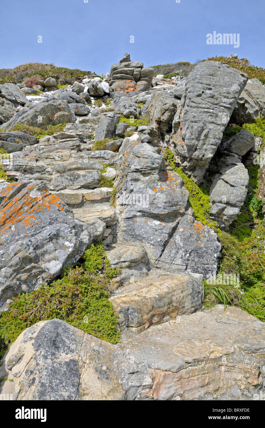 Hiking route, Cape Point, Cape of Good Hope, South Africa, Africa Stock ...