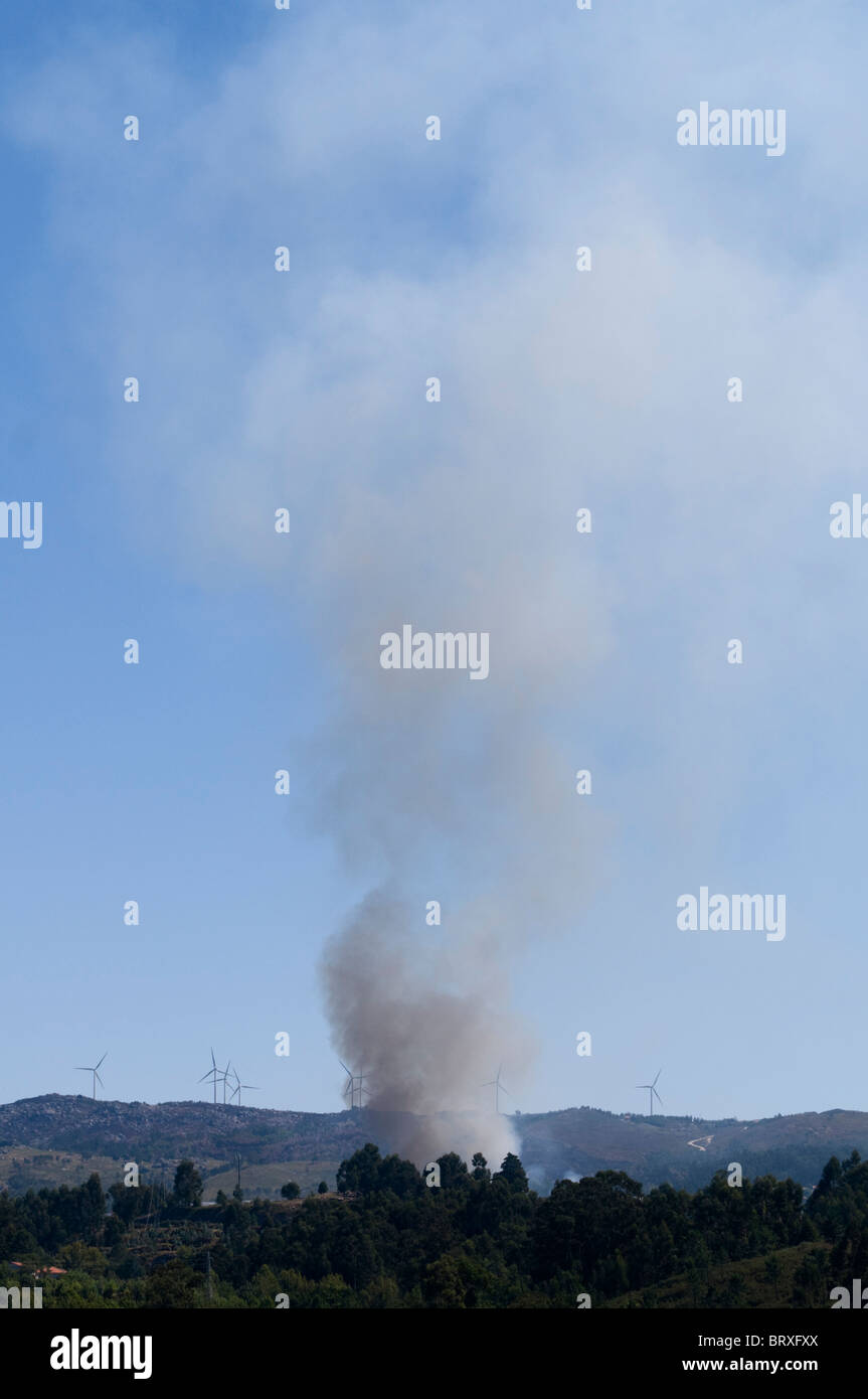 Forest fire in Portugal Stock Photo - Alamy