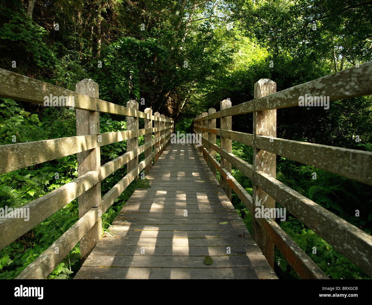 Wooden bridge along a pathway with scattered sunlight Stock Photo - Alamy