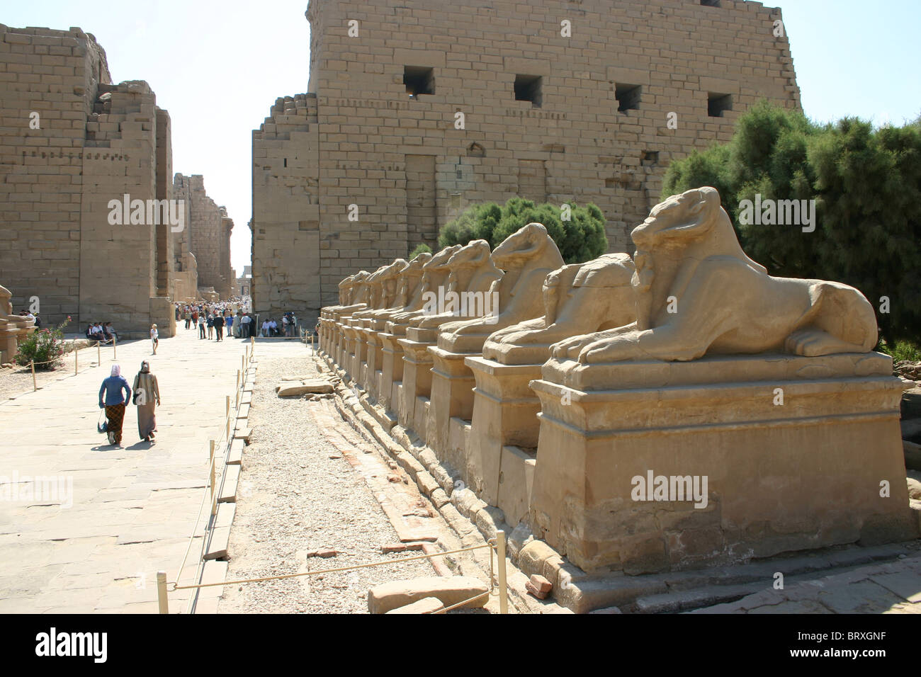 Avenue of Criosphinxes ( ram headed , lion body ) of Ramses ll at ...