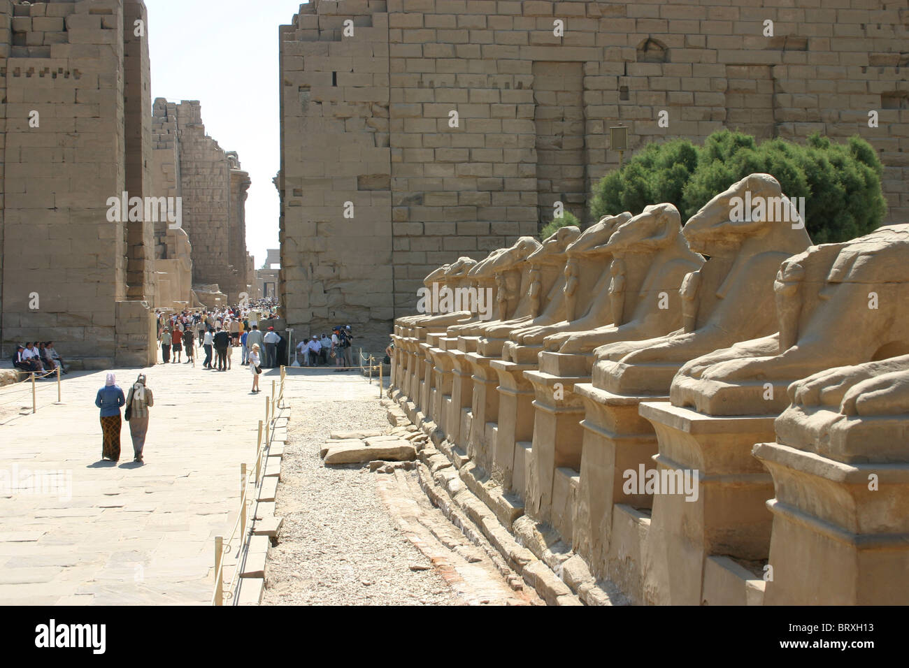 Avenue of Criosphinxes ( ram headed , lion body ) of Ramses ll at ...