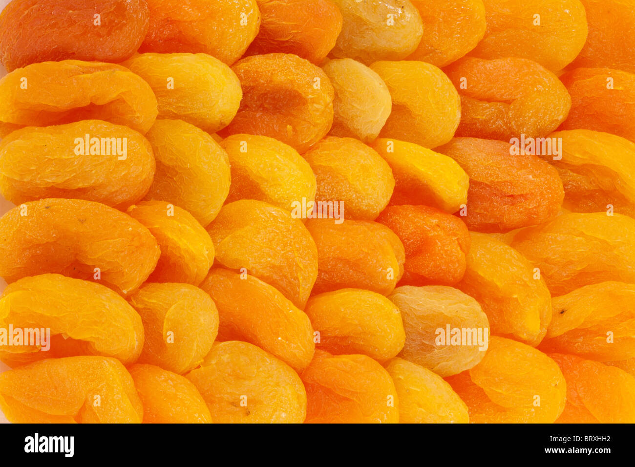 Vivid orange dried apricots texture Stock Photo - Alamy