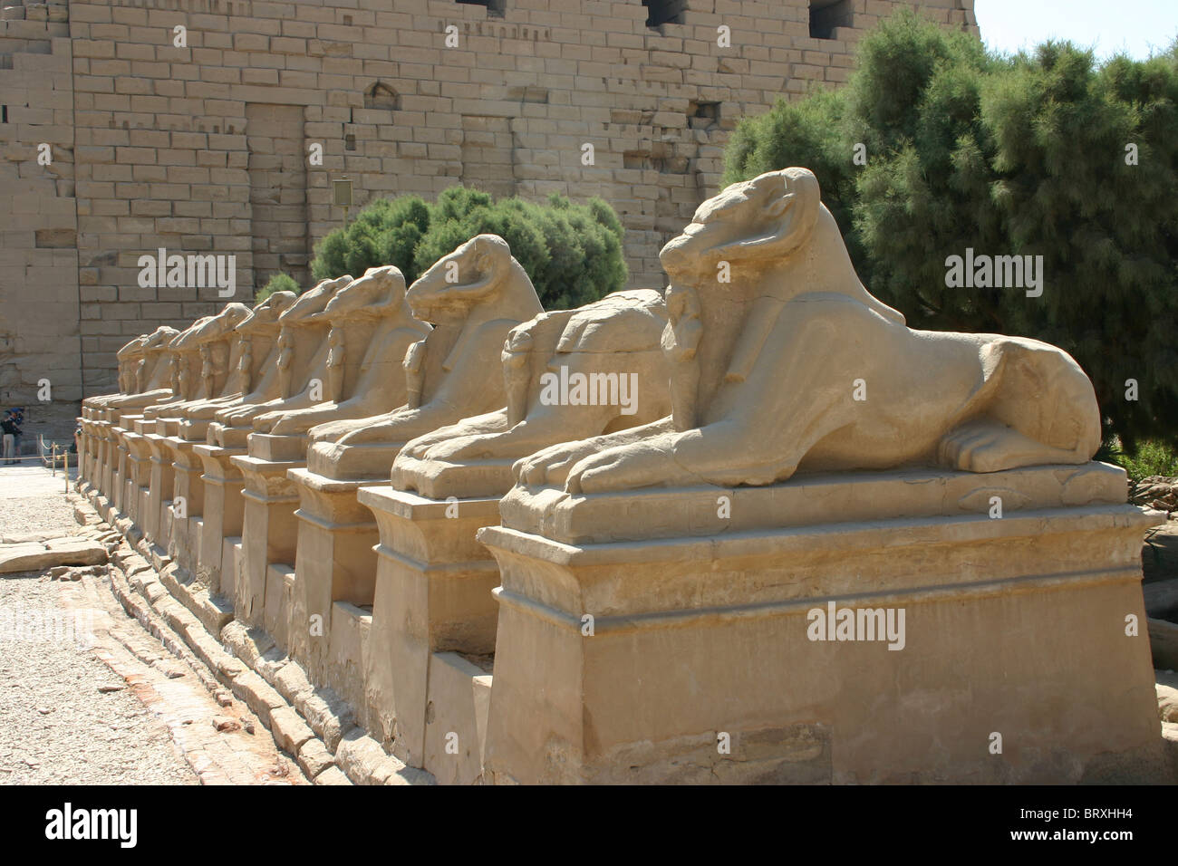 Avenue of Criosphinxes ( ram headed , lion body ) of Ramses ll at ...