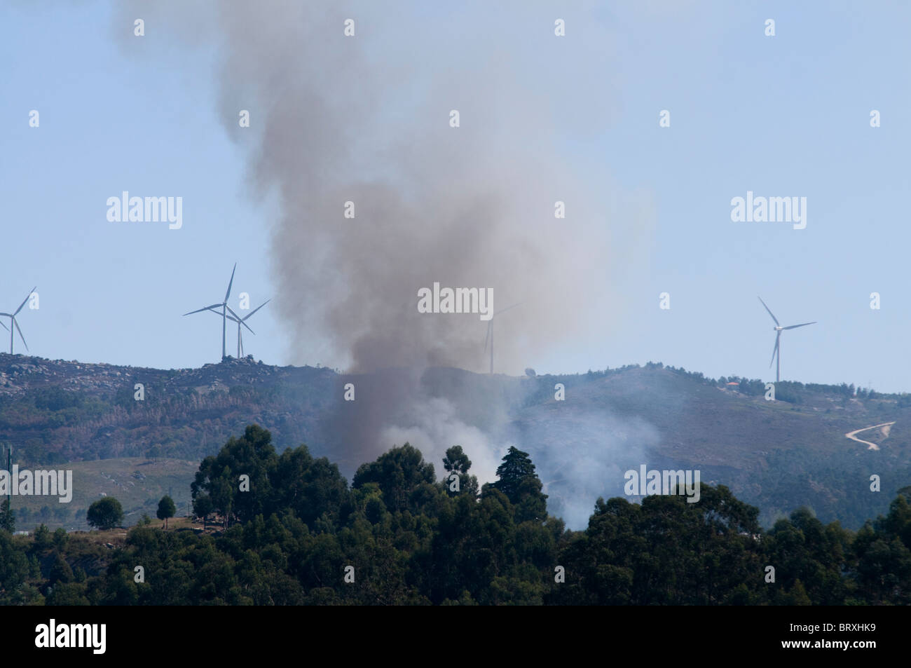Forest fire in Portugal Stock Photo - Alamy