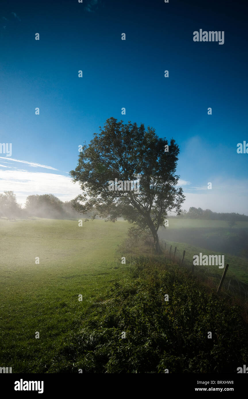 Misty view from The Cotswold Way at Coaley Peak, England, United ...