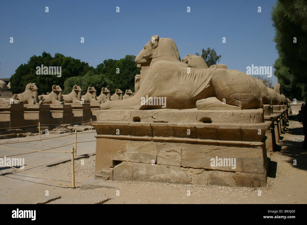 Avenue of Criosphinxes ( ram headed , lion body ) of Ramses ll at ...