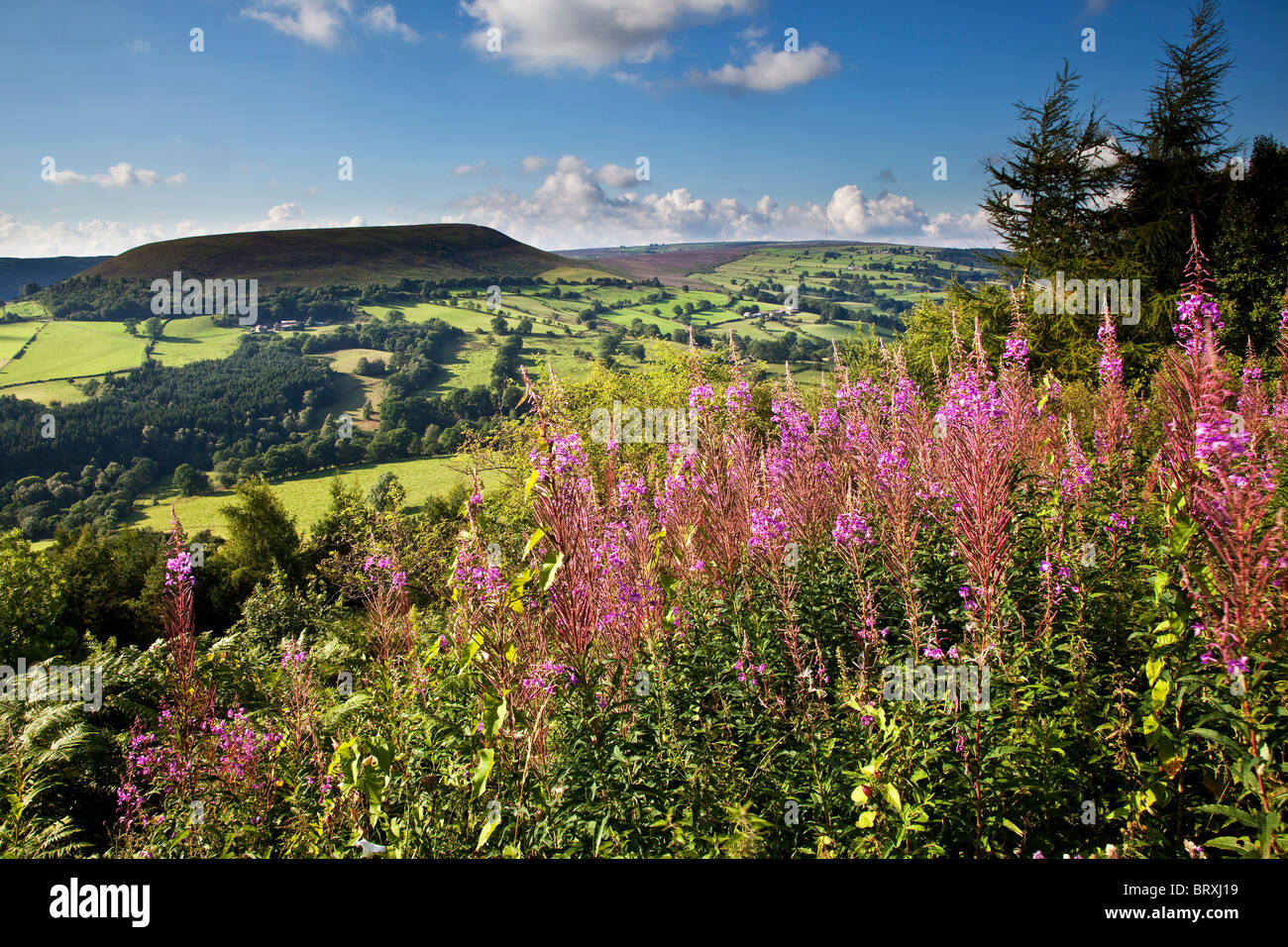 Easterside Hill, Bilsdale, North York Moors National Park Stock Photo ...