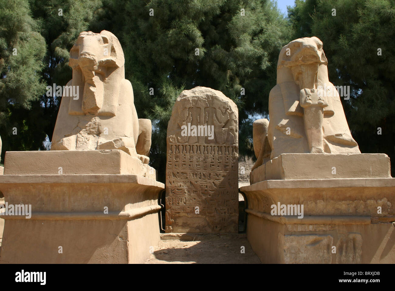 Criosphinxes ( ram headed , lion body ) of Ramses ll at theTemple of ...