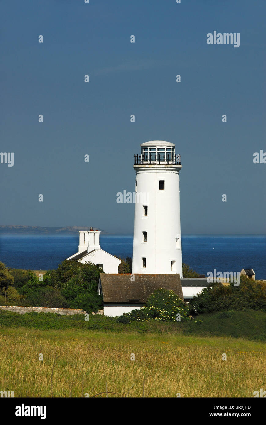 Portland bird observatory hi-res stock photography and images - Alamy