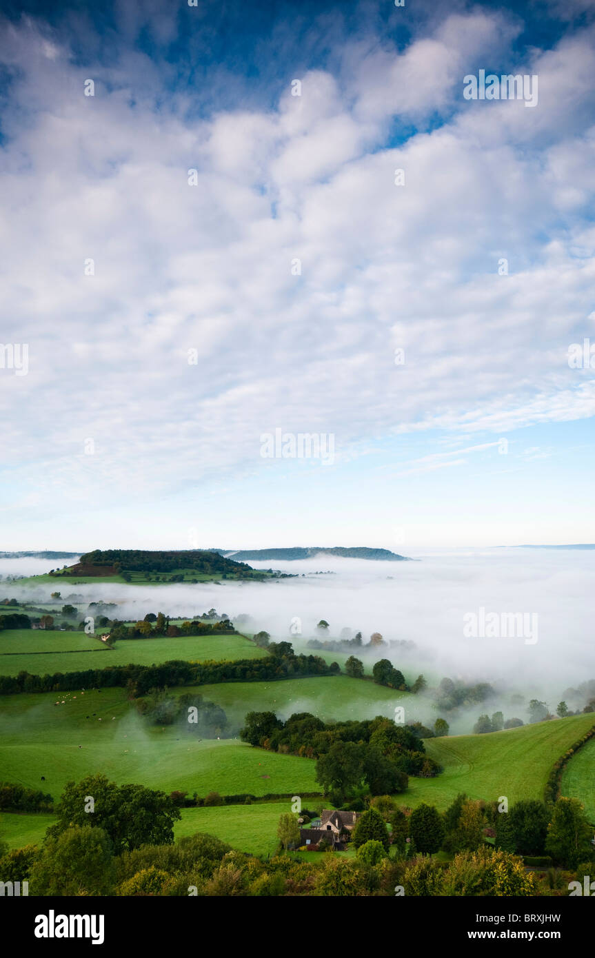 Long cam down hi-res stock photography and images - Alamy