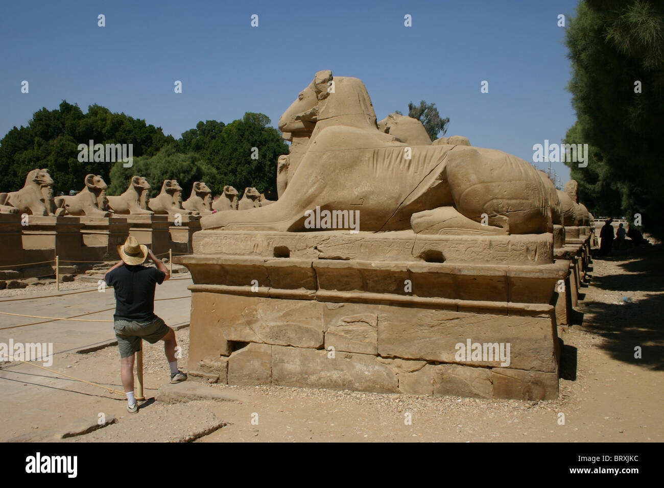 Avenue of Criosphinxes ( ram headed , lion body ) of Ramses ll at ...